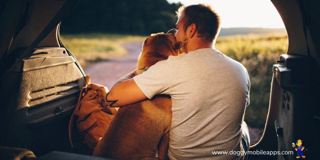 How to improve the life of your doggy? ⋆ Doggy Mobile Apps