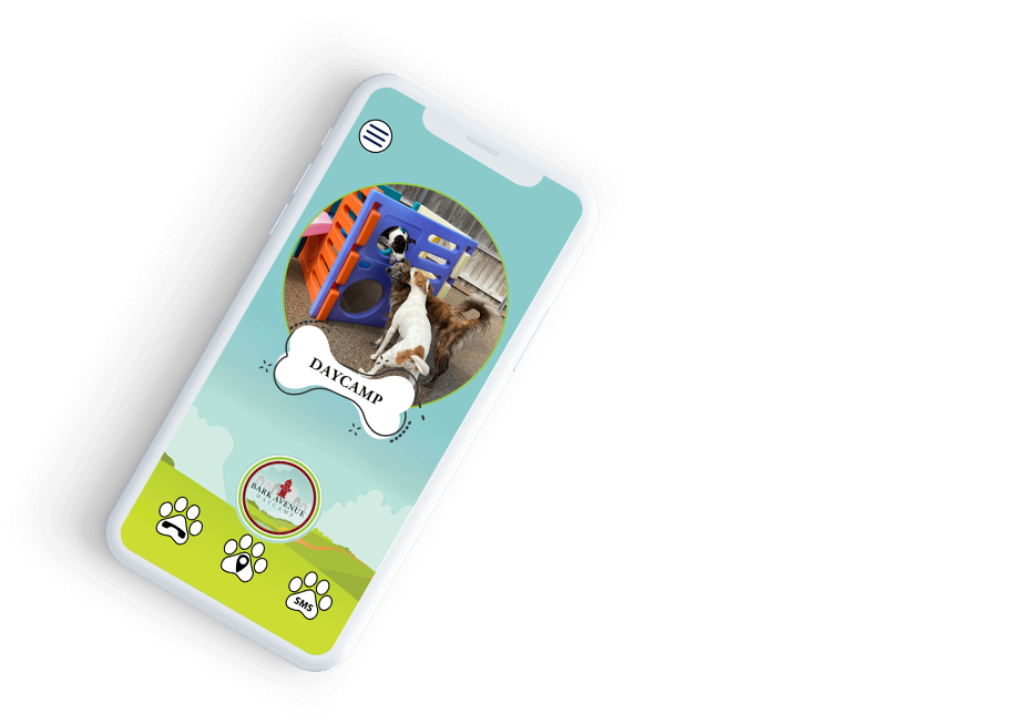 About Us ⋆ Doggy Mobile Apps ⋆